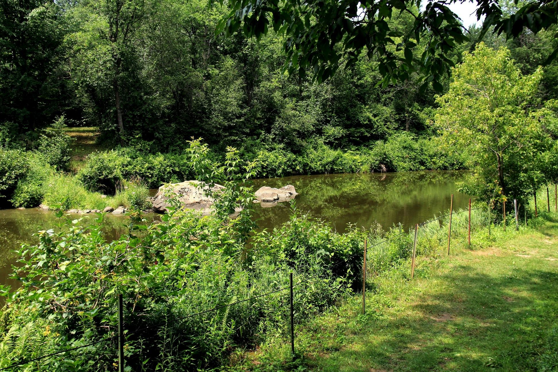 Avis publics - Ville d'Acton Vale