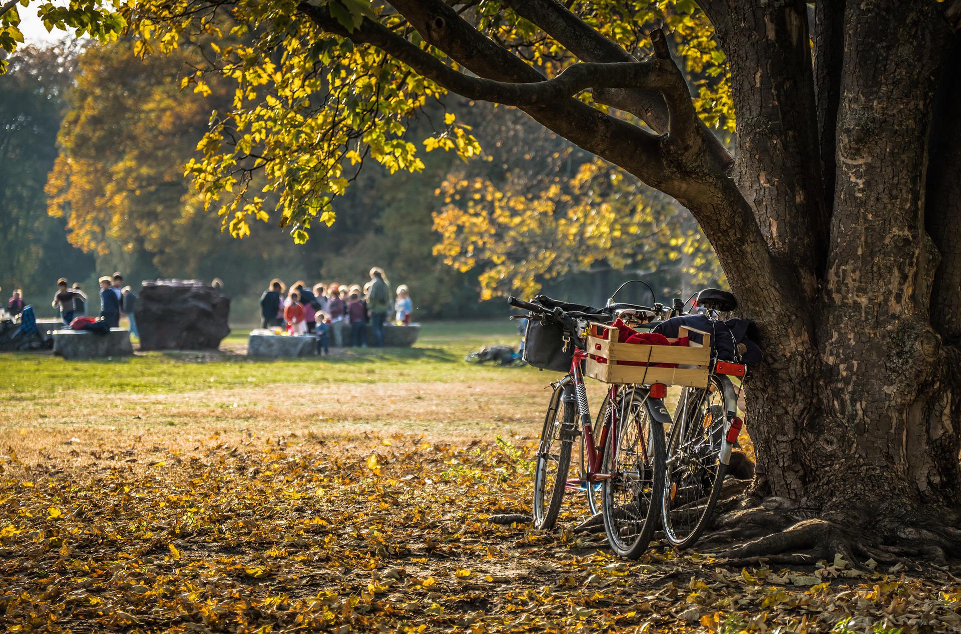 Accueil - Ville d'Acton Vale